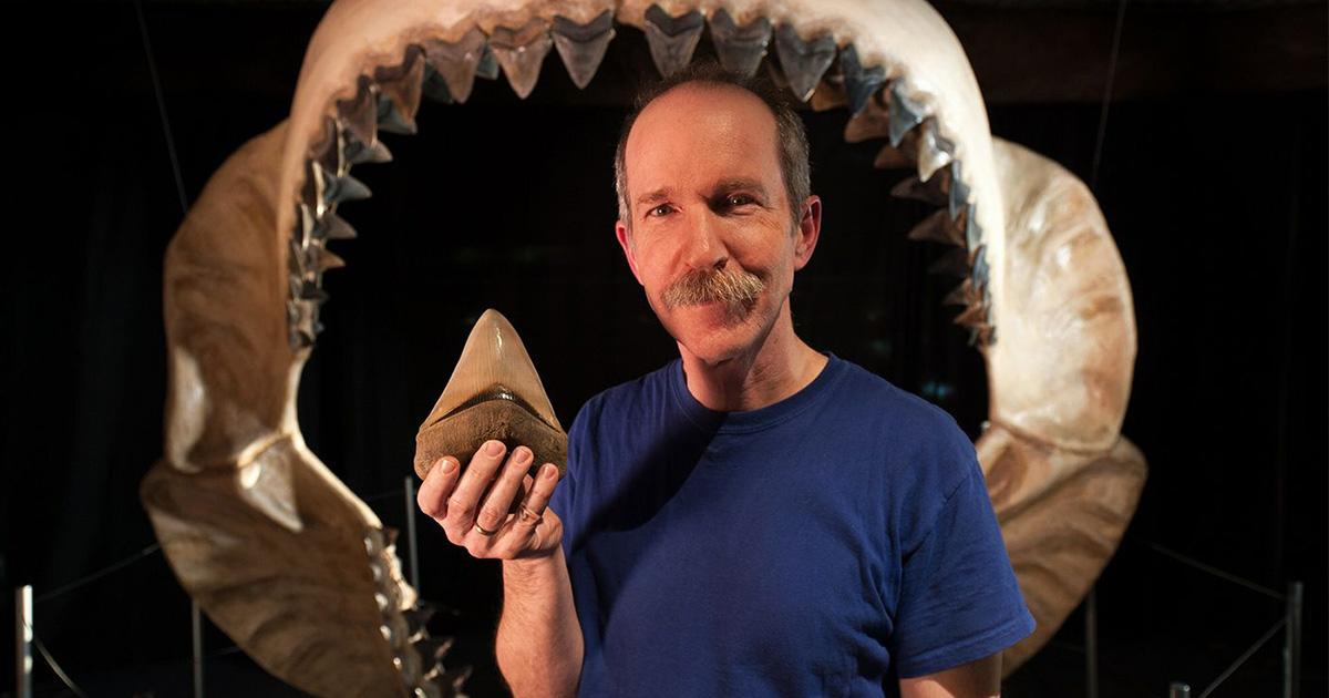 Henson Seminar Featuring Dr. Stephen Godfrey April 1 - Thursday March ...
